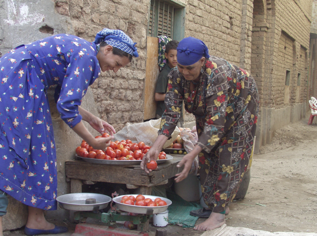 Supporting Women in the Informal Sector - Hands Along the Nile ...